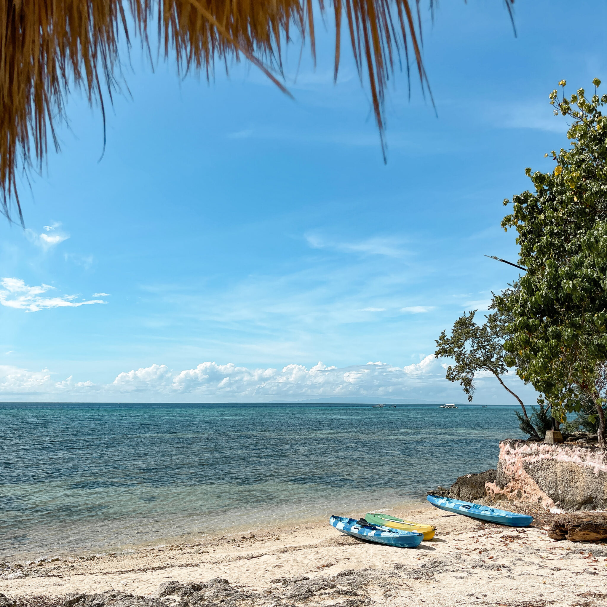 Bluewater Panglao: A Beach & Food Destination in Bohol - Doyzkie The ...